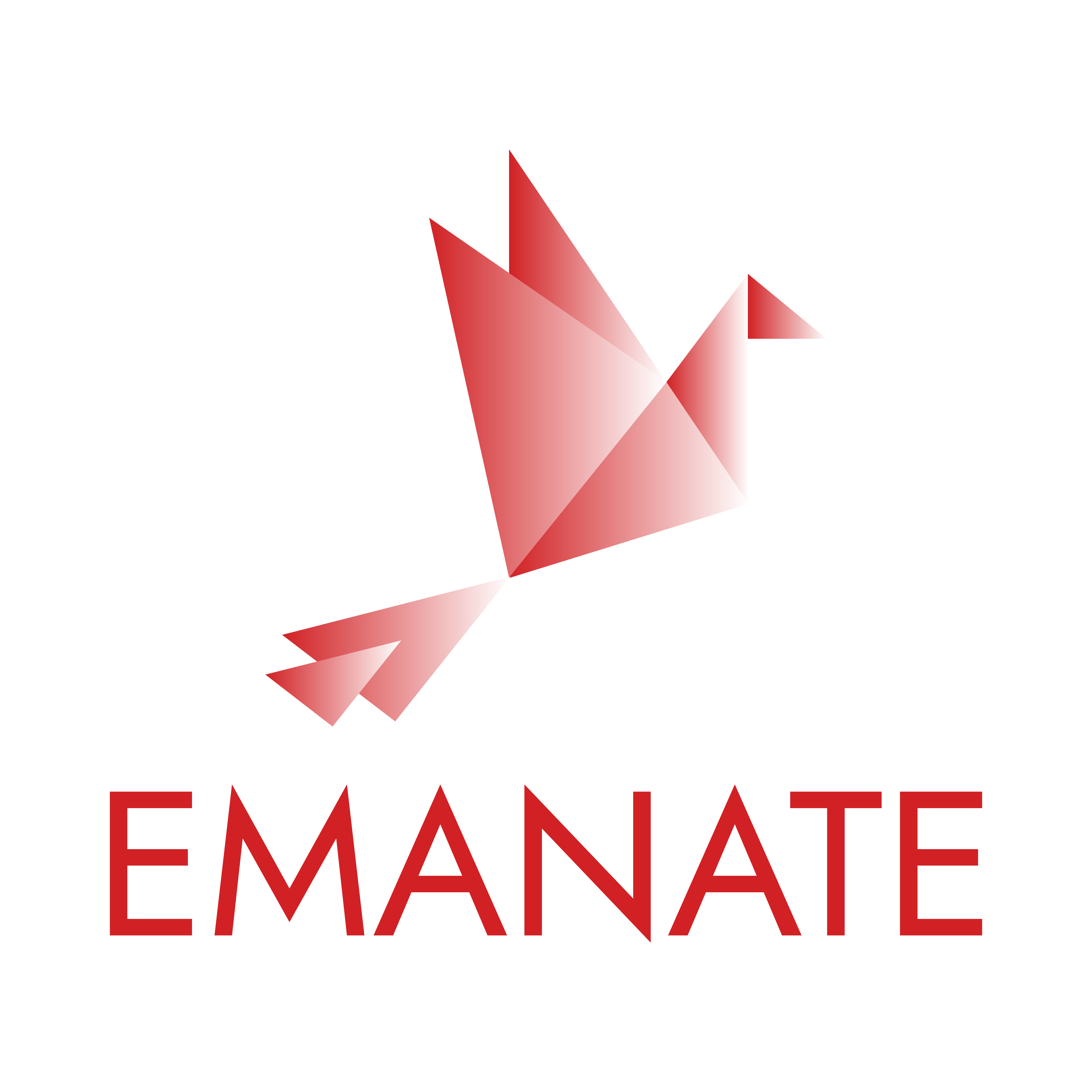 Early Registration: 01 January 2024 – 01 August 2024